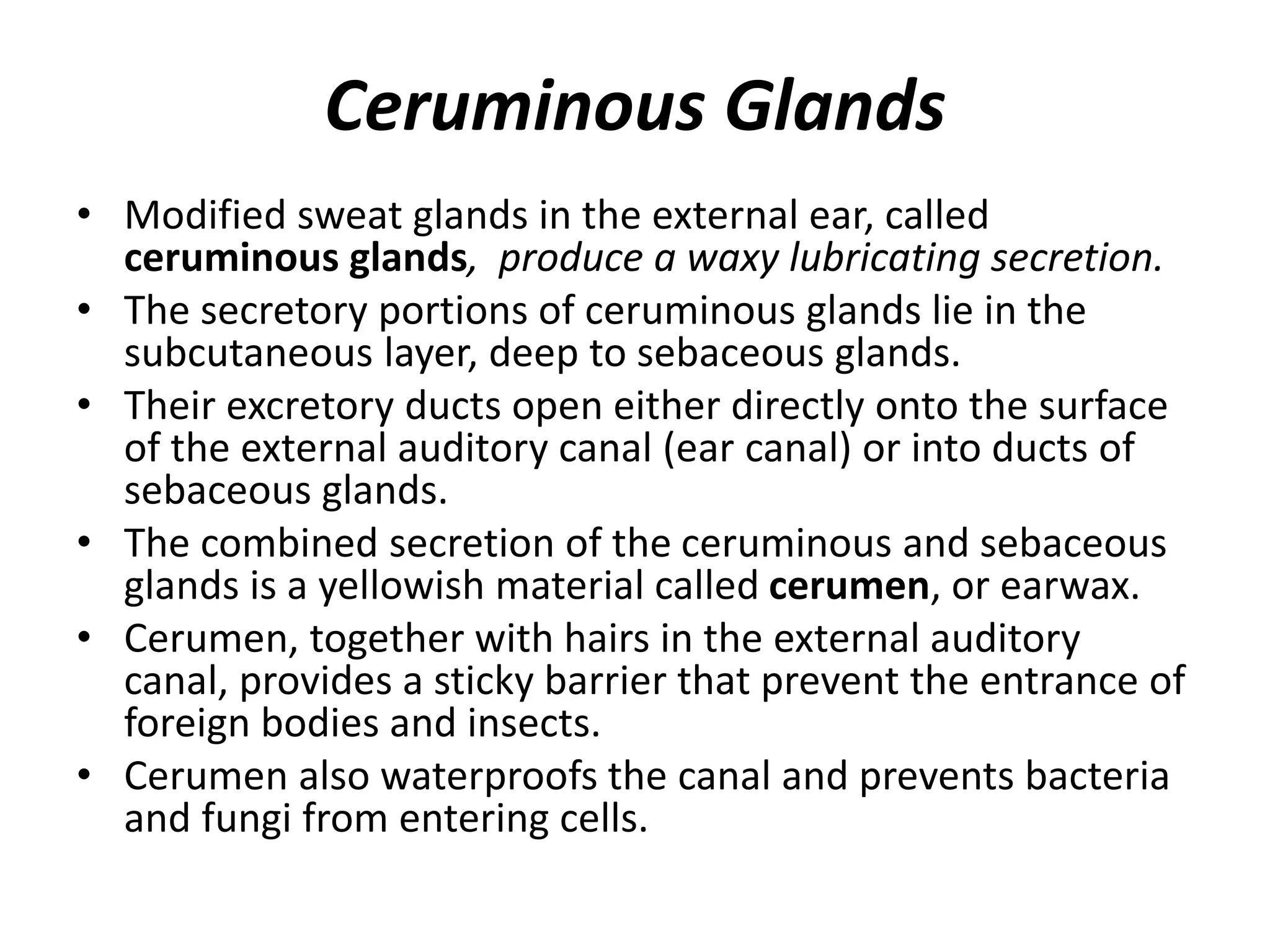 THE INTEGUMENTARY SYSTEM.pptx