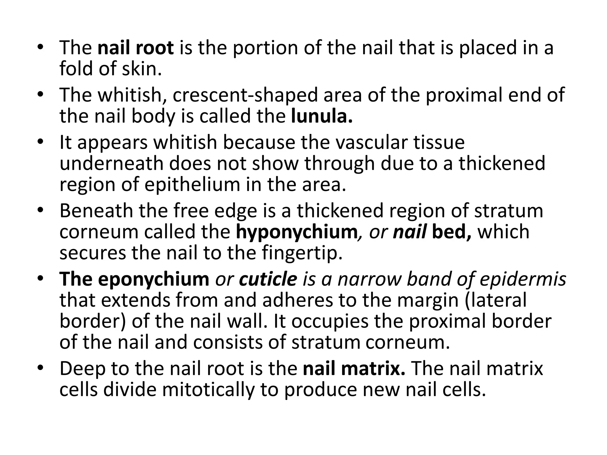THE INTEGUMENTARY SYSTEM.pptx