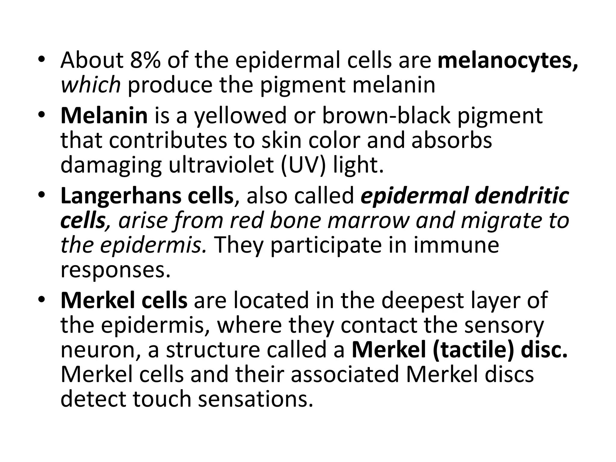 THE INTEGUMENTARY SYSTEM.pptx