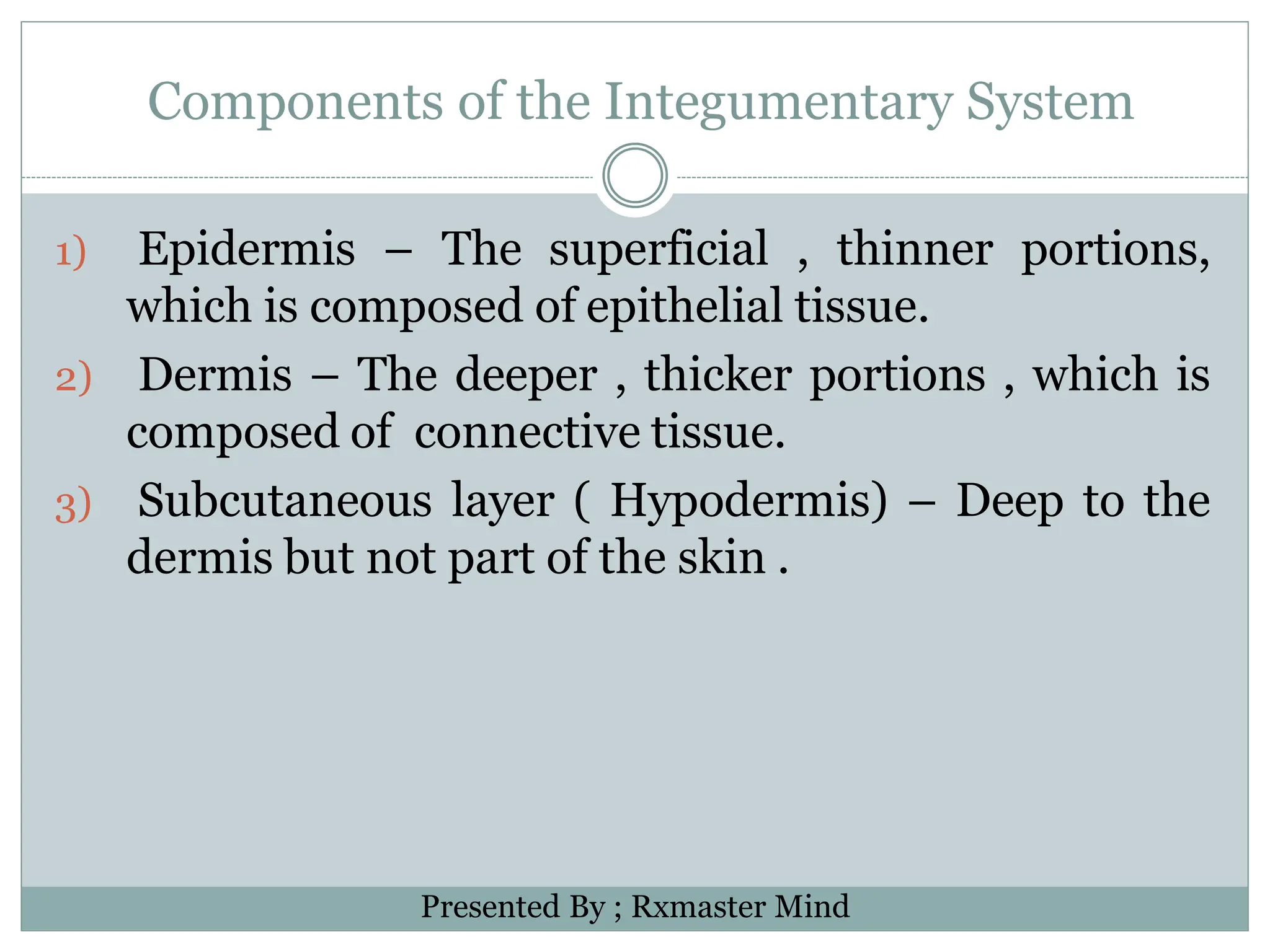 The Integumentary System.pdf