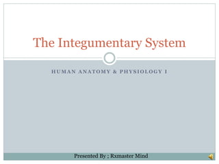 The Integumentary System.pdf