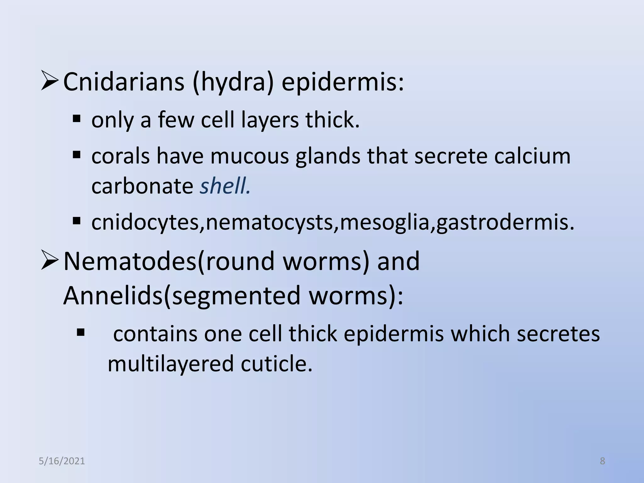 The integumentary system of invertebrates | PPTX