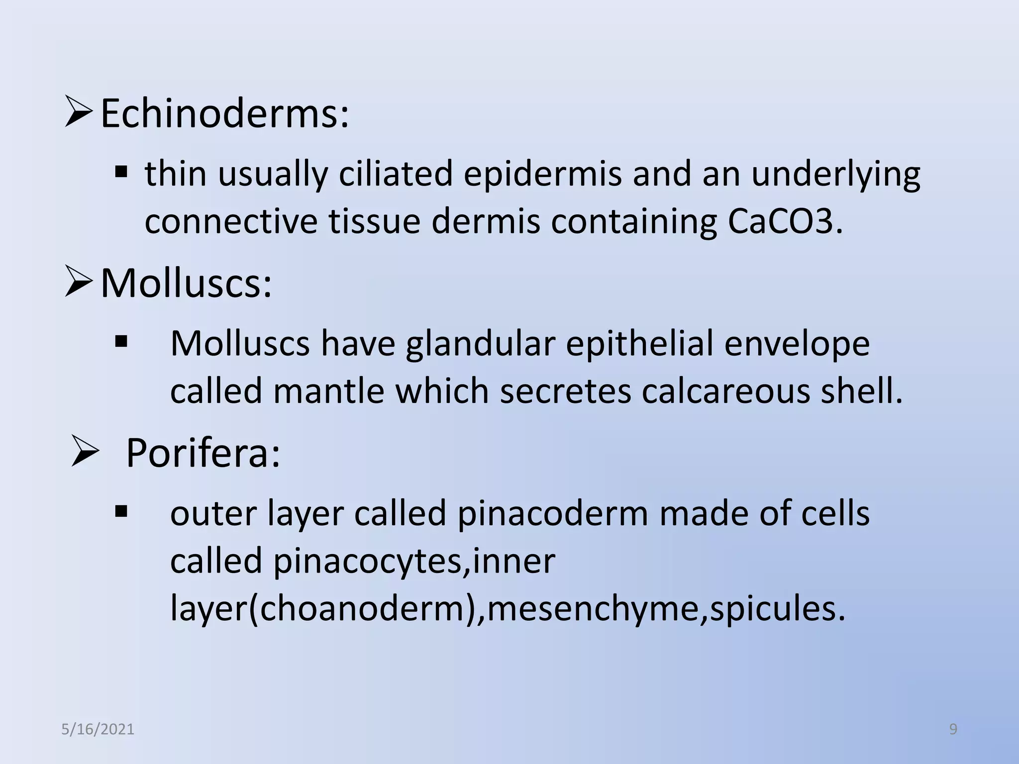 The integumentary system of invertebrates | PPTX
