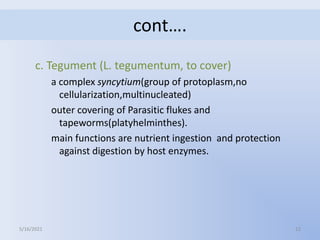 The integumentary system of invertebrates | PPTX