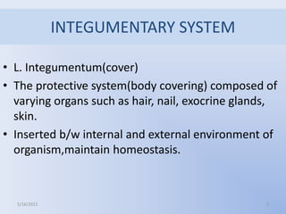 The integumentary system of invertebrates | PPTX