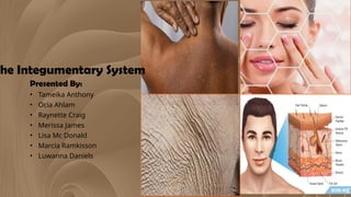 The Integumentary System Presentation Group 4.pptx