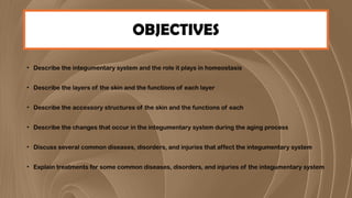 The Integumentary System Presentation Group 4.pptx