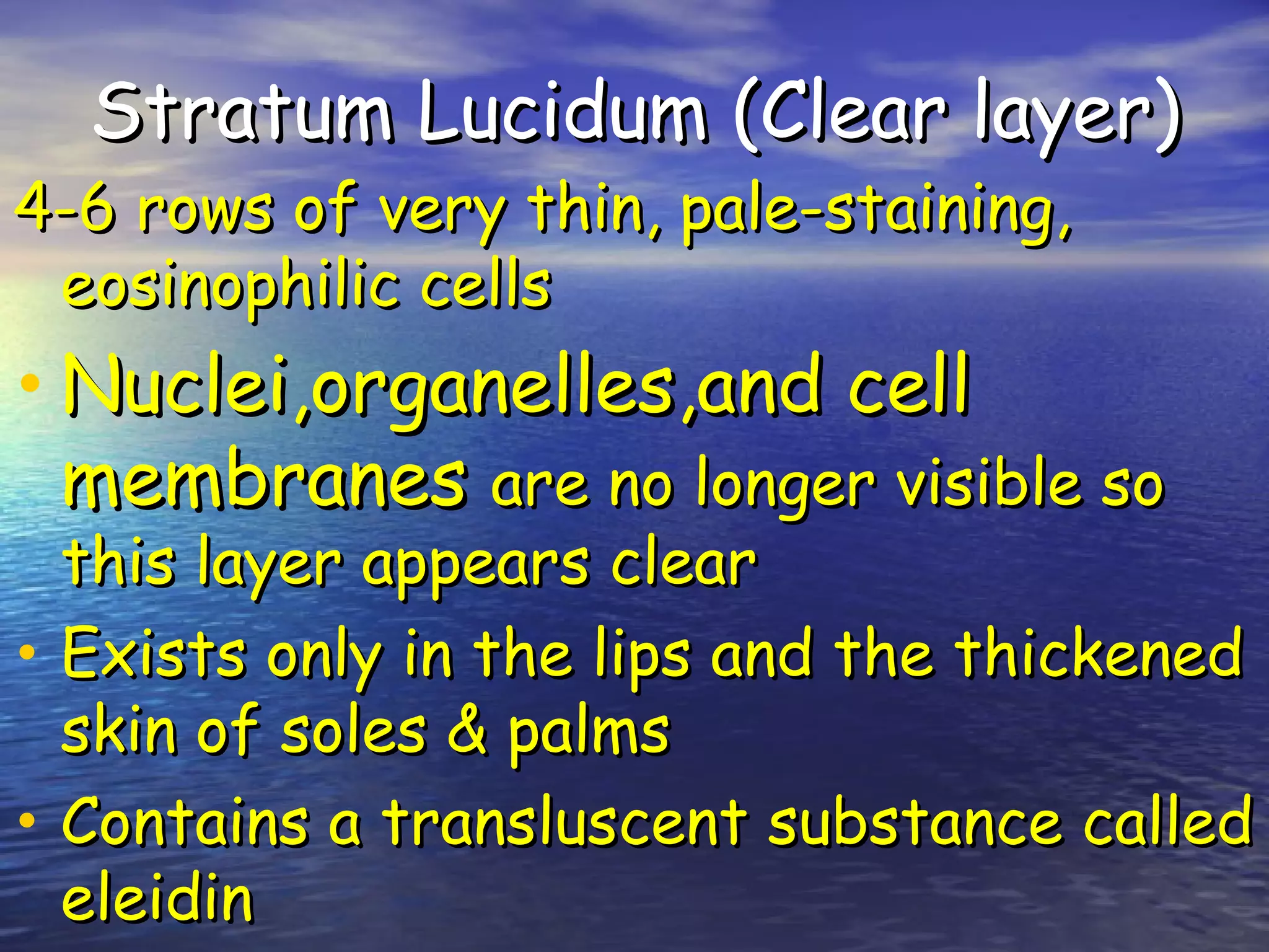The integumentary system special class lec | PPT
