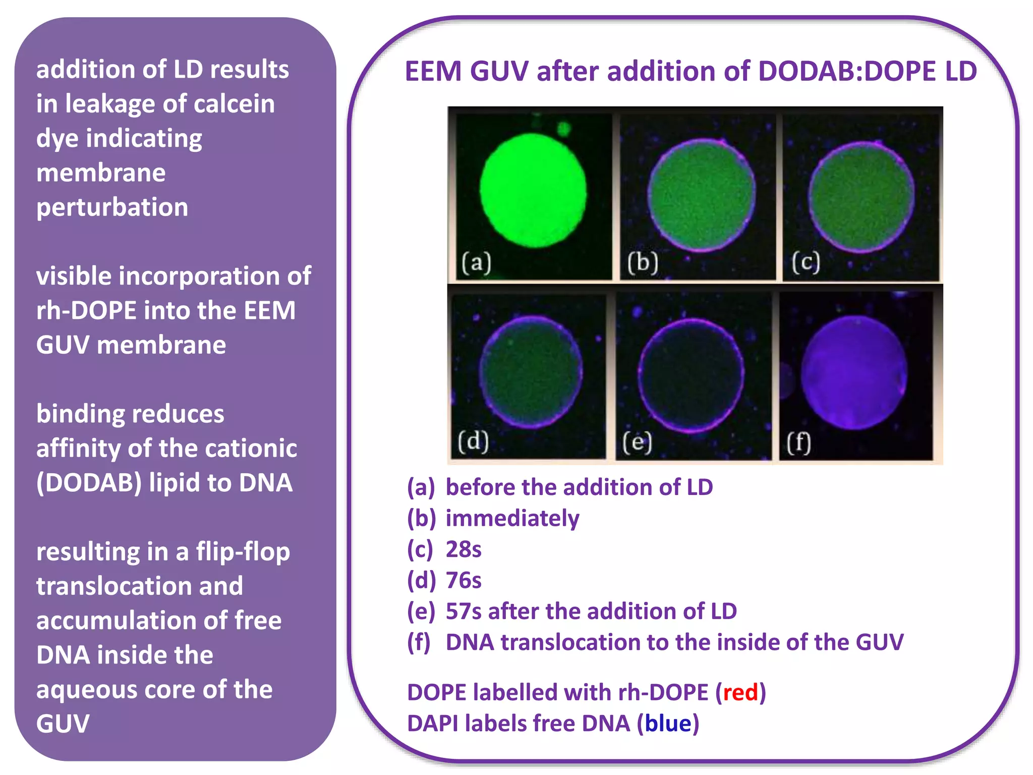 MDC Connects Series 2021 | A Guide to Complex Medicines: The ...