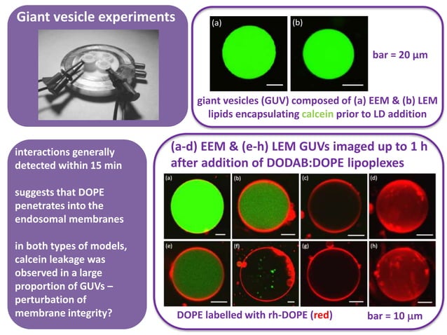 MDC Connects Series 2021 | A Guide to Complex Medicines: The ...