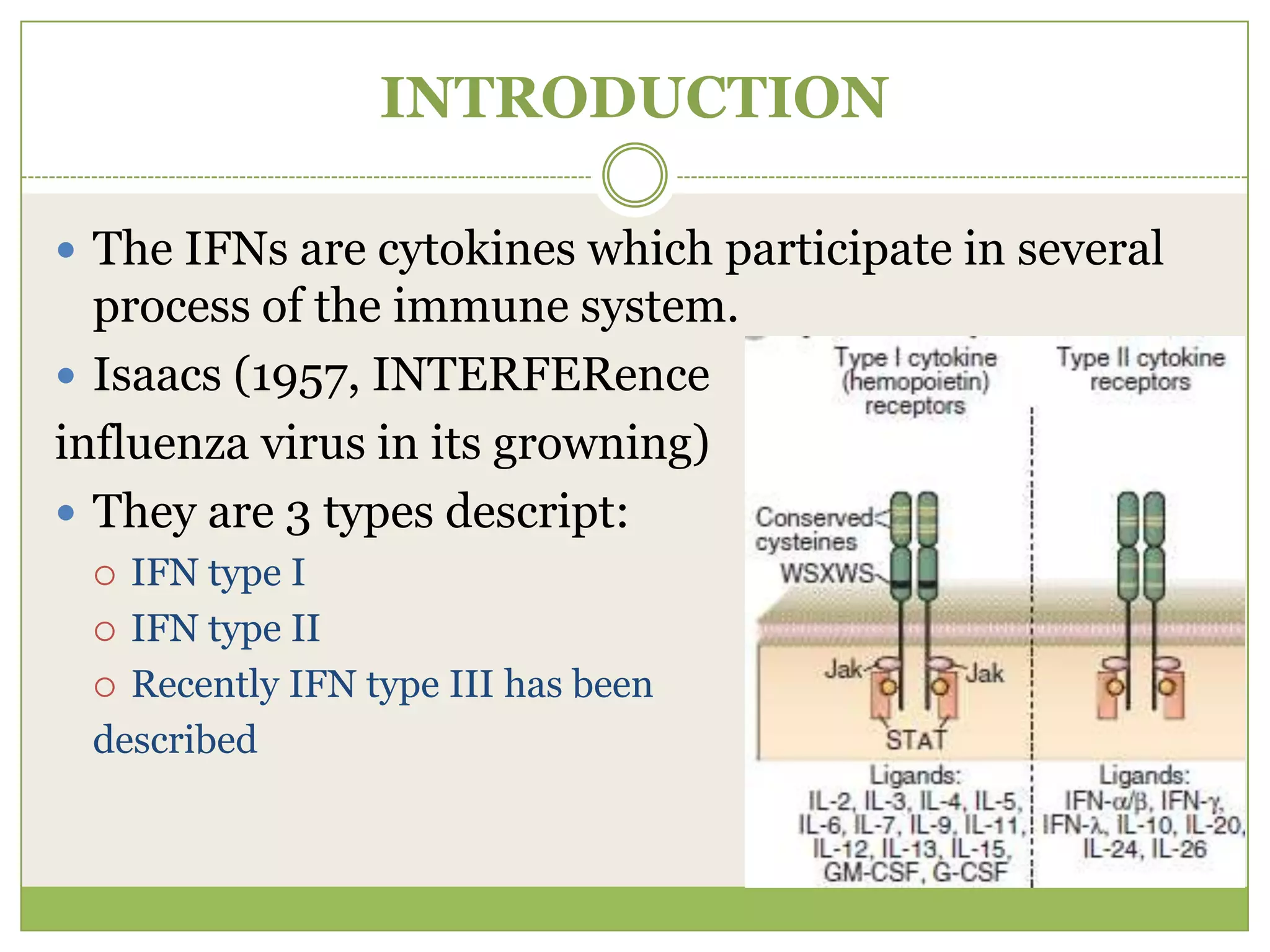 The interferons and their receptors – distribution and | PPTX | Lung ...