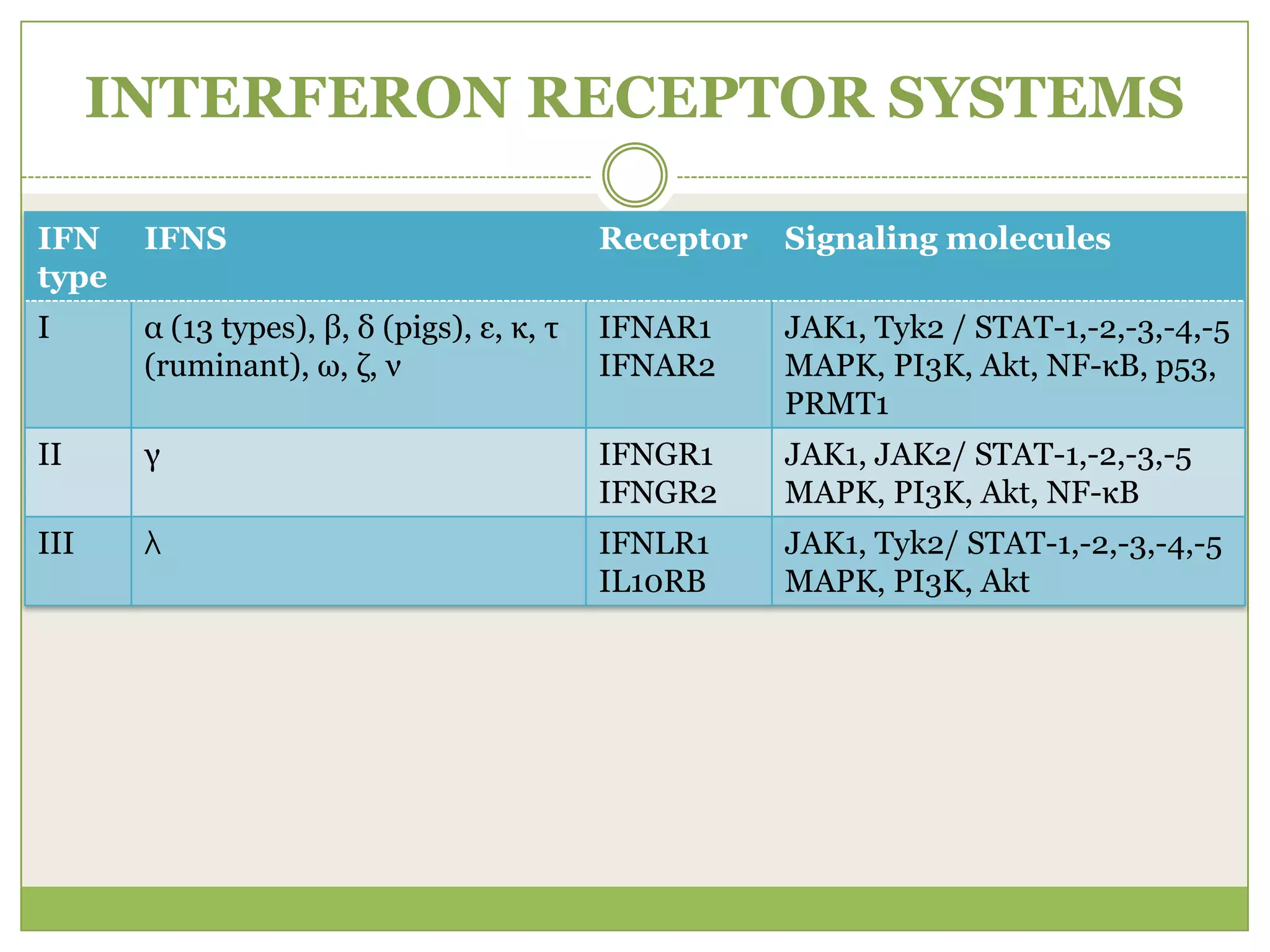 The interferons and their receptors – distribution and | PPTX | Lung ...