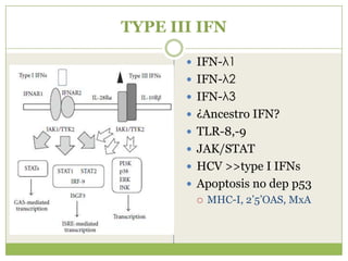The interferons and their receptors – distribution and | PPTX | Lung ...