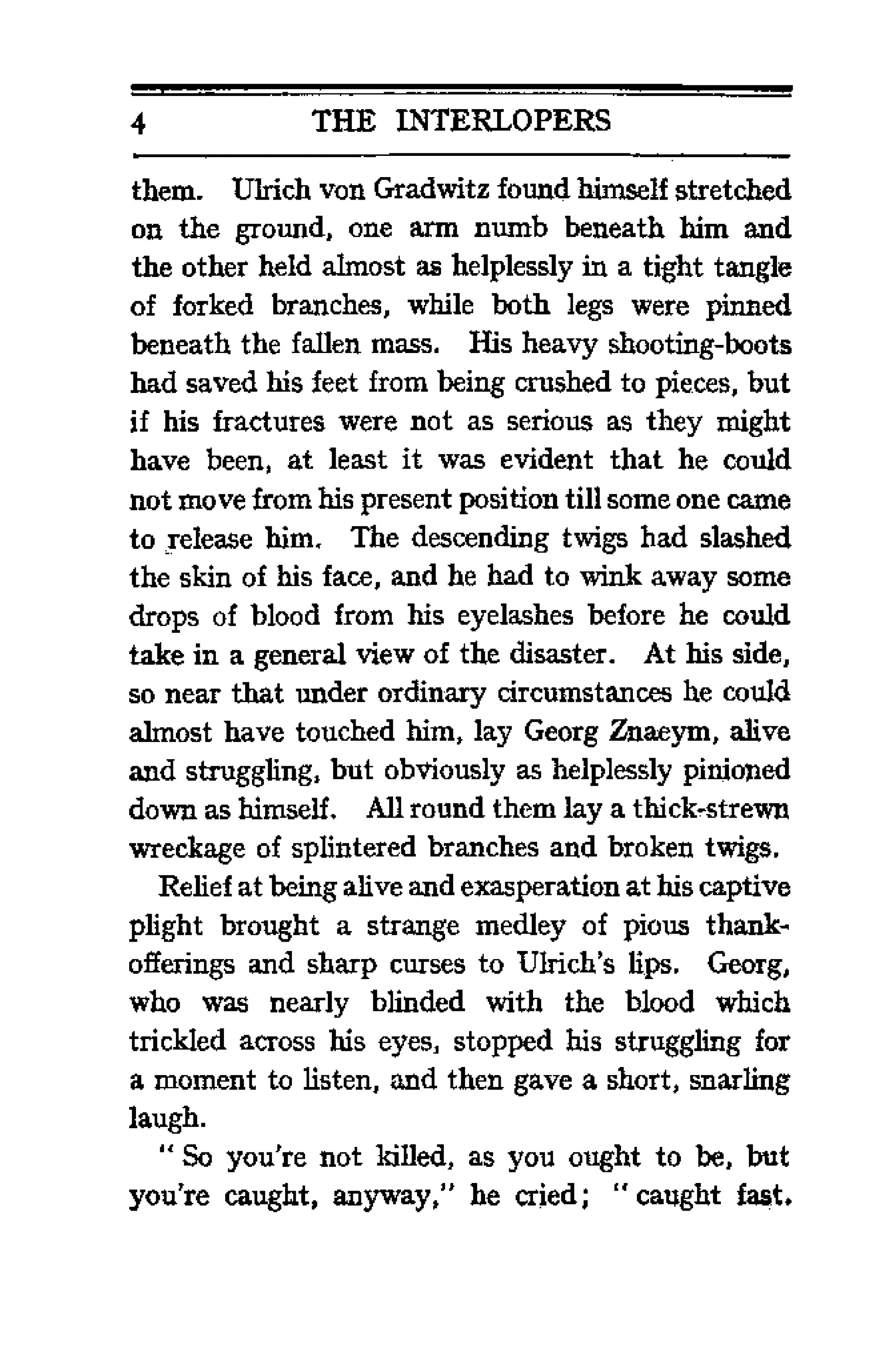 The interlopersbysaki | PDF