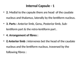 The Internal Capsule afjfkflflh - 1.pptx