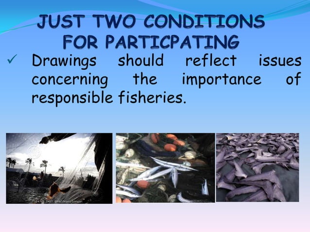 The Fisheries Drawing Competition. FAO | PPT