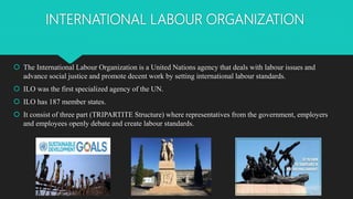 The International labour organization | PPTX