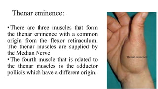 THE Intrinsic muscle OF THE HAND Prof.Ugo 02-10-23.pptx