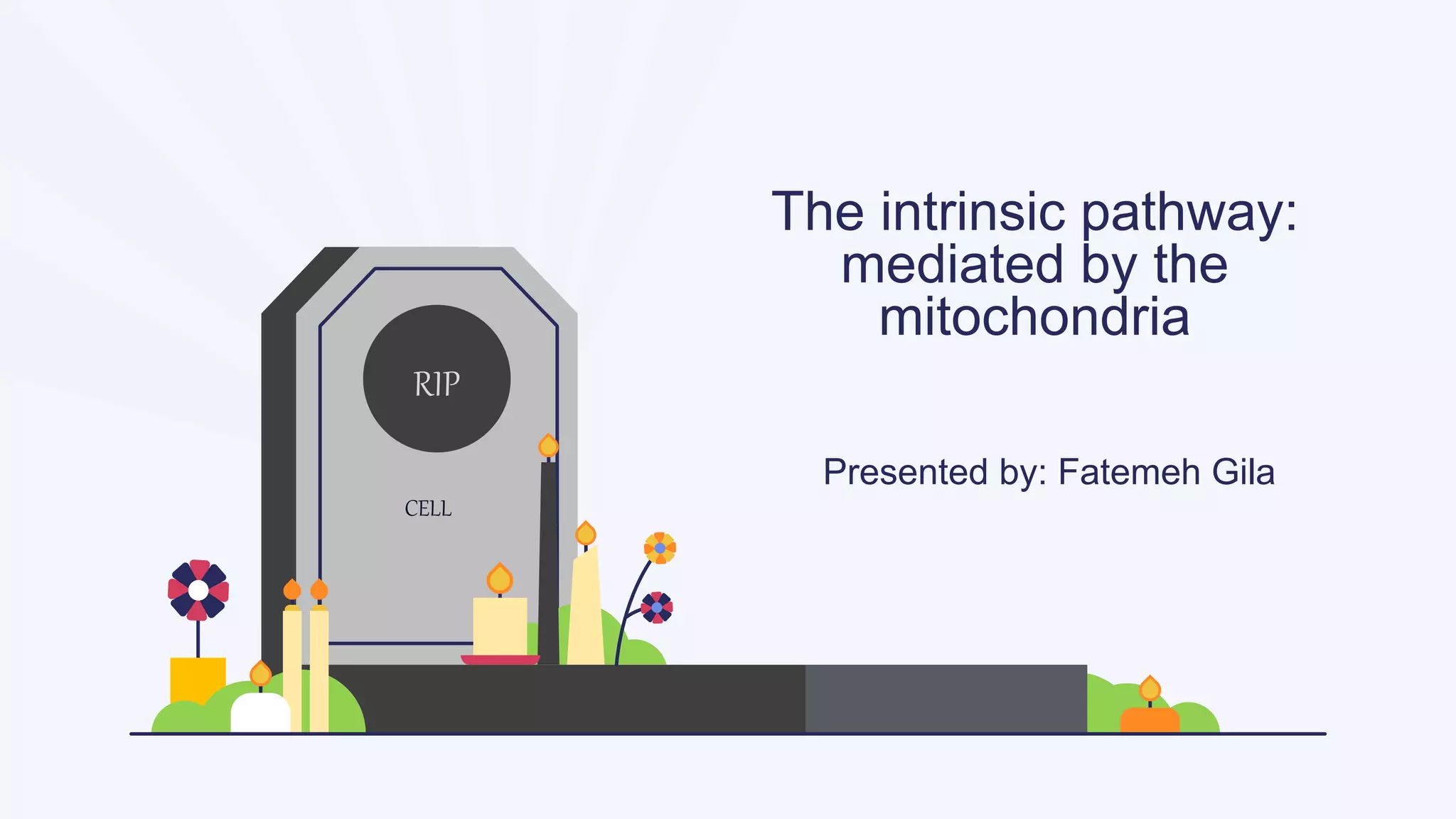 apoptosis : The intrinsic pathway | PPTX | Genetics | Science