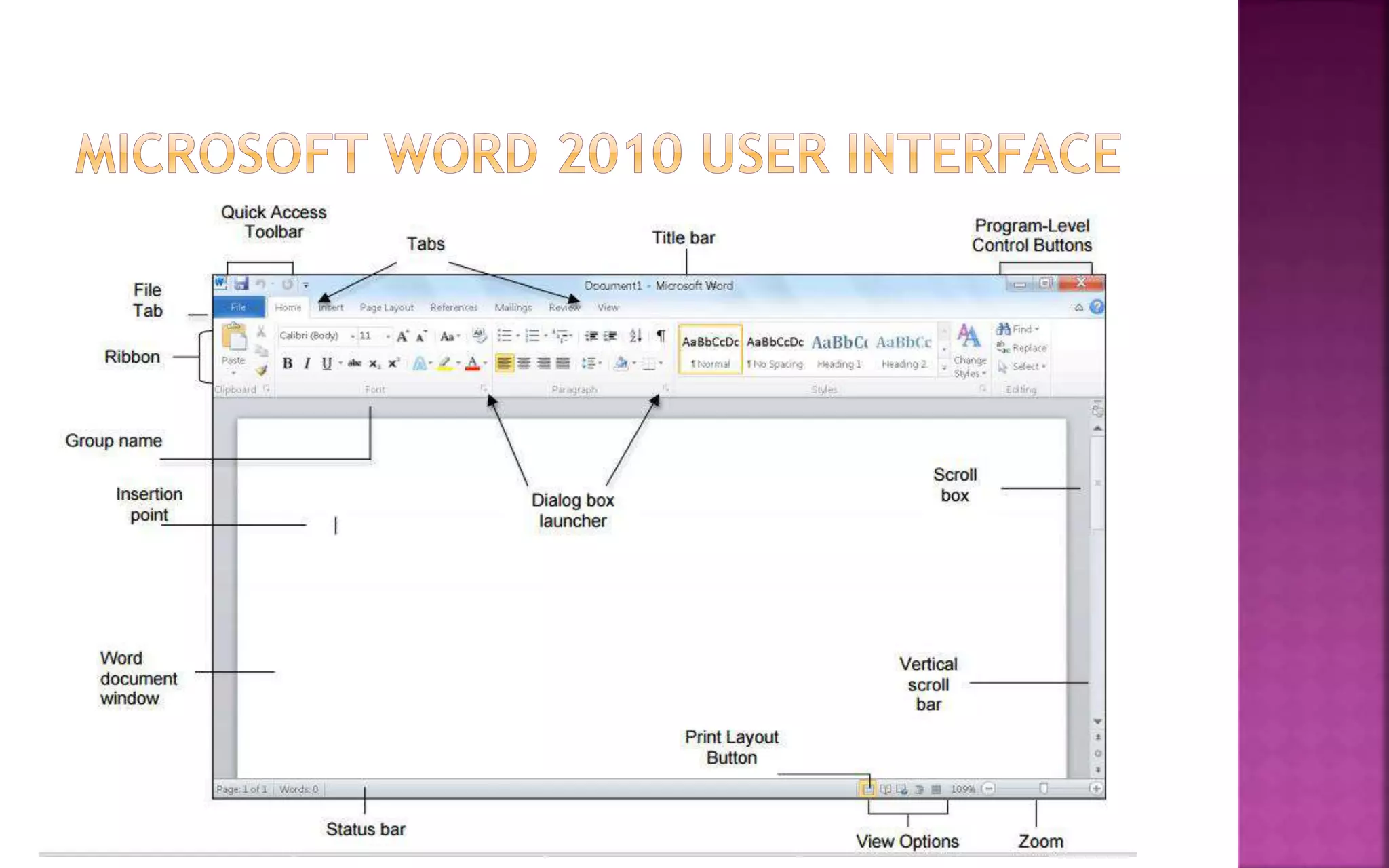 The introduction to microsoft office and programming languages | PPTX