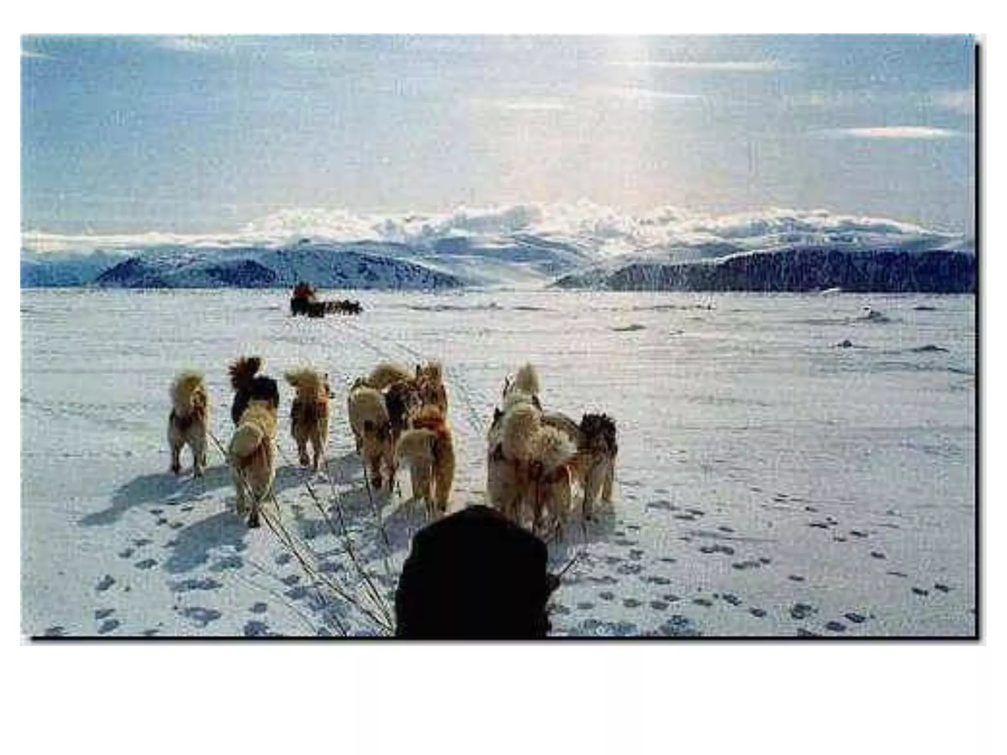 The inuit of the arctic region | PDF