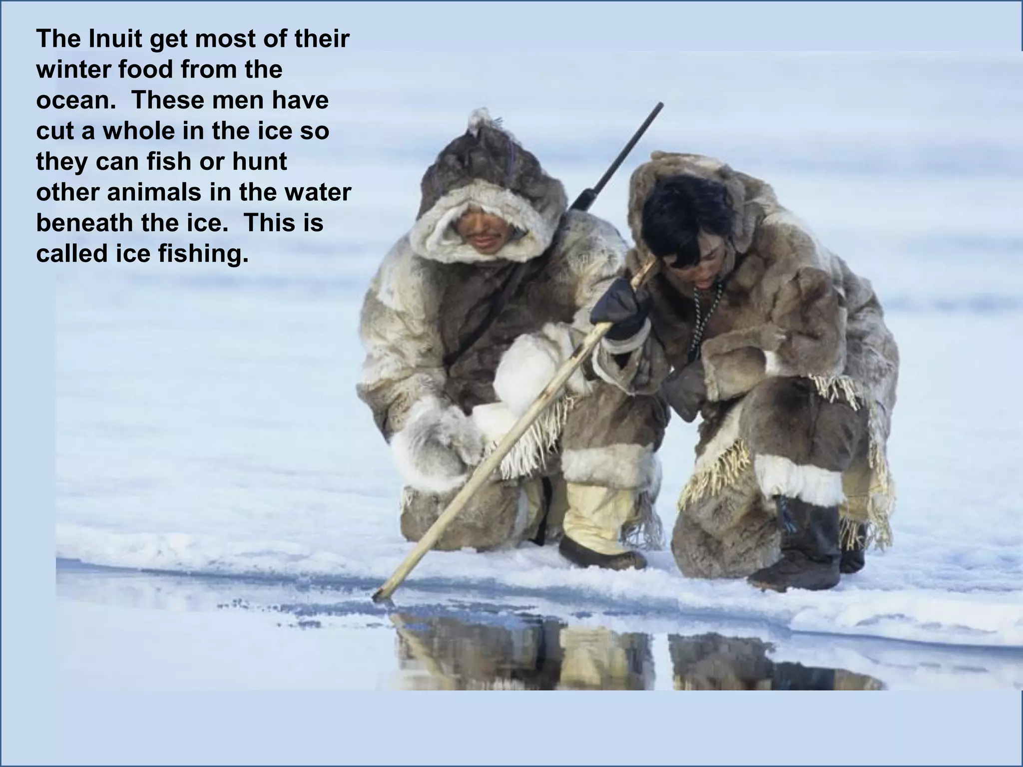The inuit of the arctic region | PDF