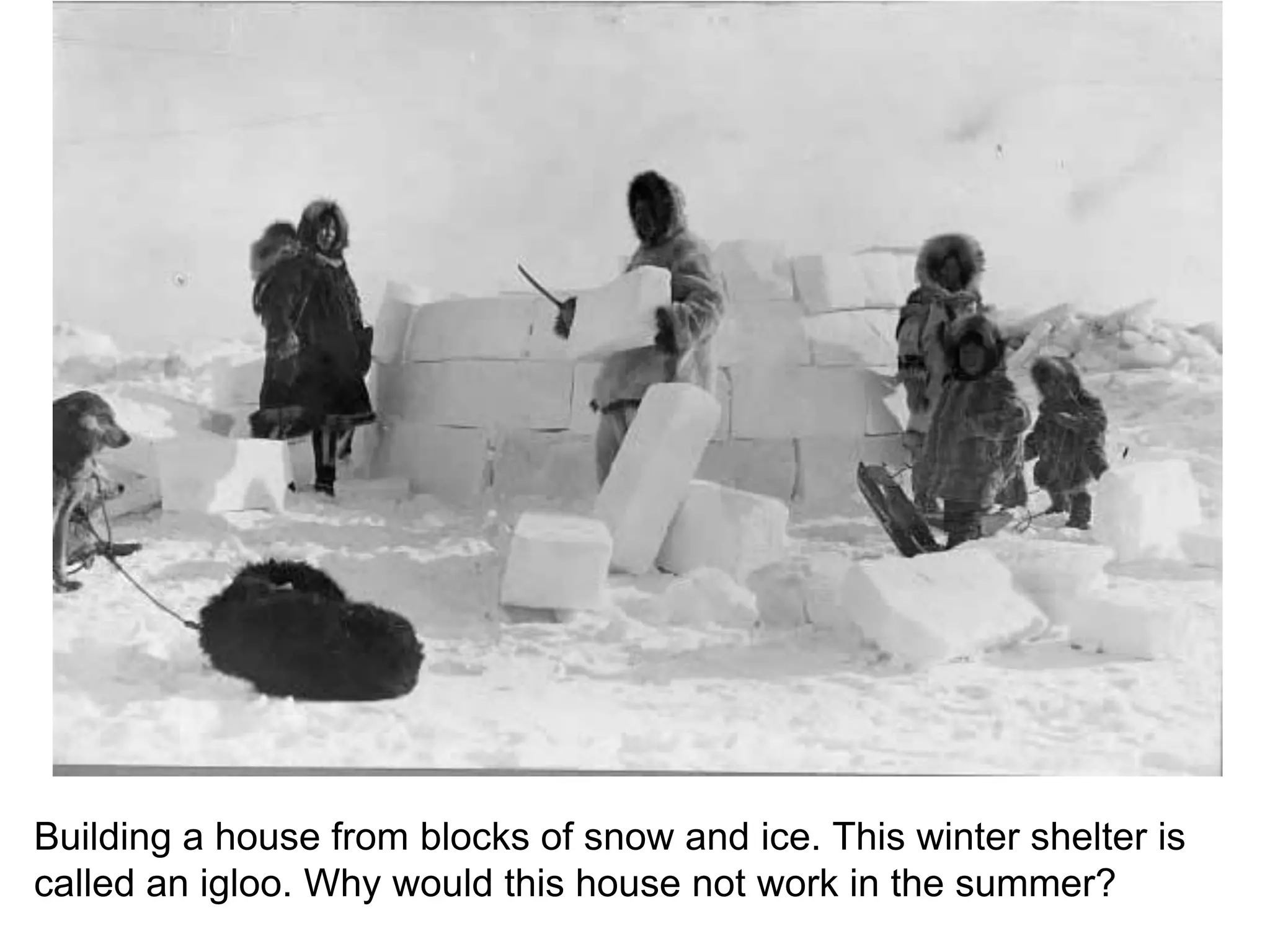 The inuit of the arctic region | PDF