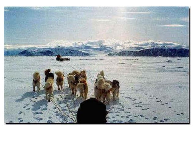 The inuit of the arctic region | PPT