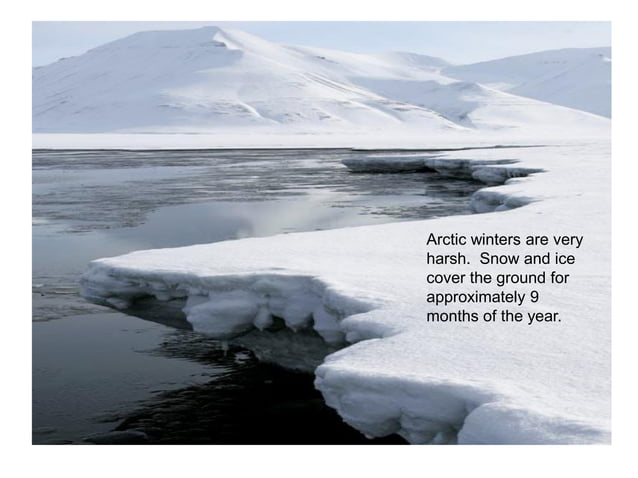 The inuit of the arctic region | PPT