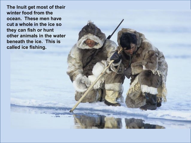 The inuit of the arctic region | PPT