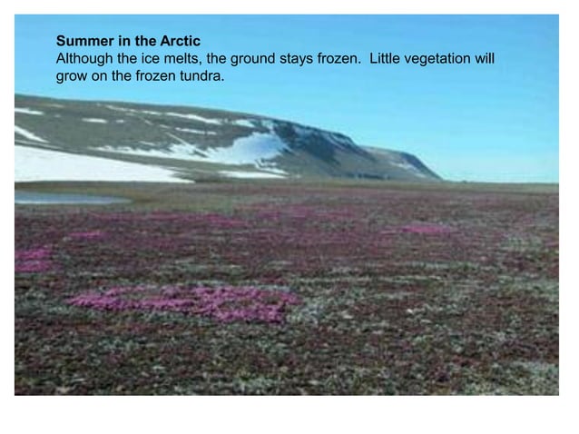 The inuit of the arctic region | PPT | Free Download