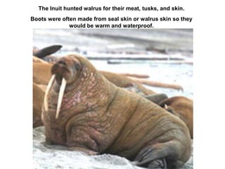 The inuit of the arctic region | PDF