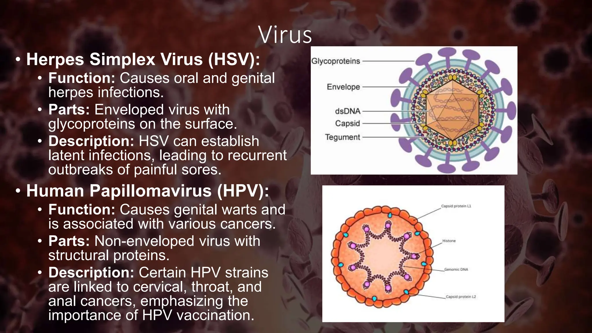 The Invaders in our body (Microbes).pptx