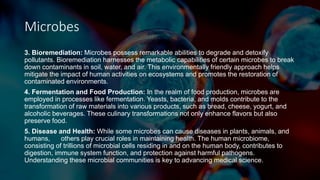 The Invaders in our body (Microbes).pptx