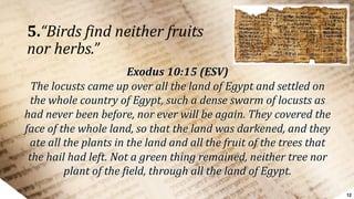 The Ipuwer Paprus Presentation.pdf