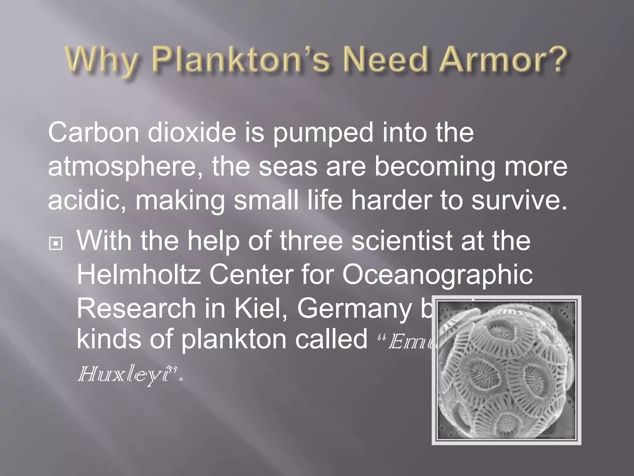 The iron plankton | PPT
