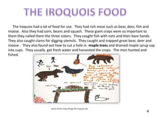 The Iroquois | PPT