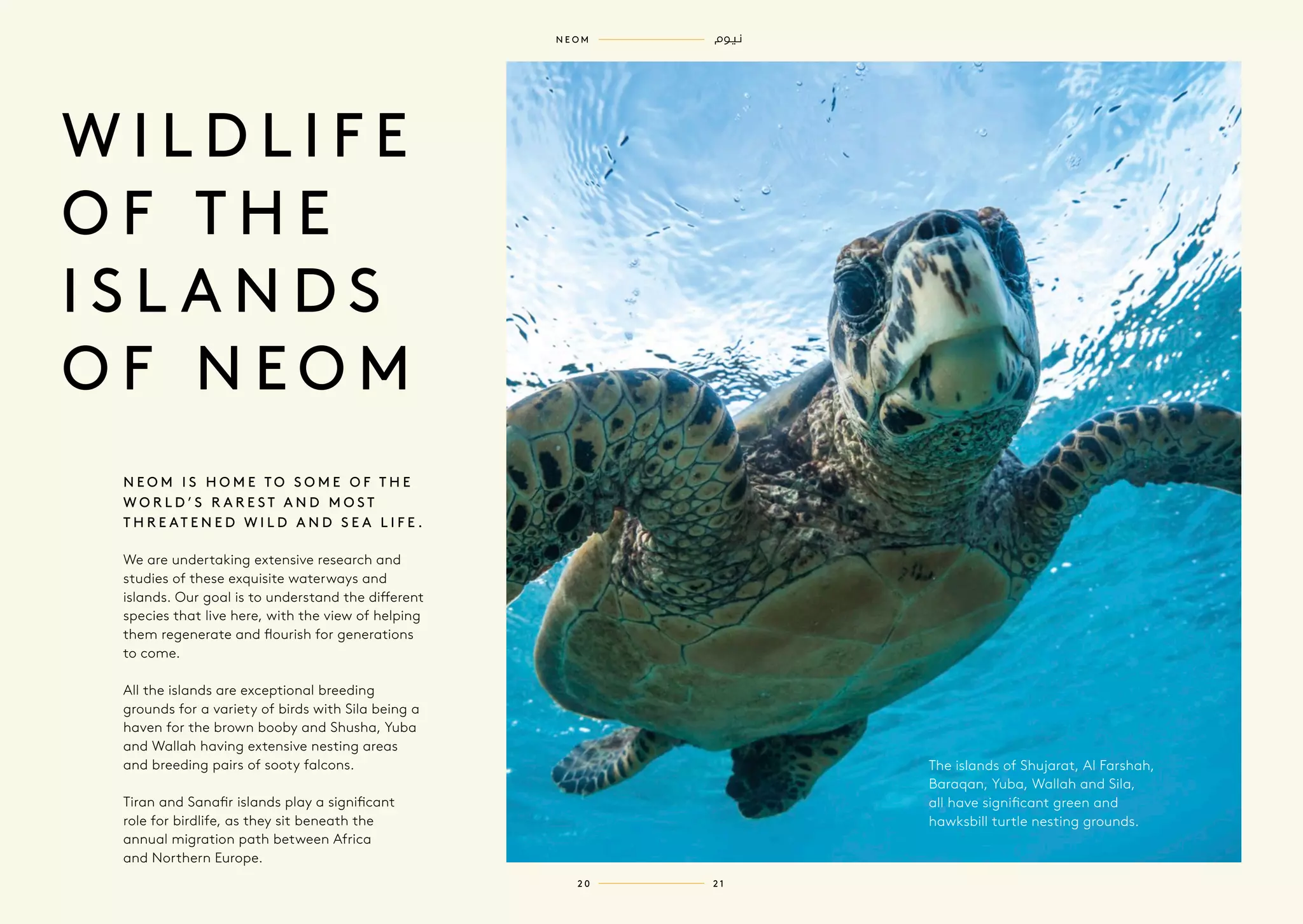 The Islands of NEOM.pdf