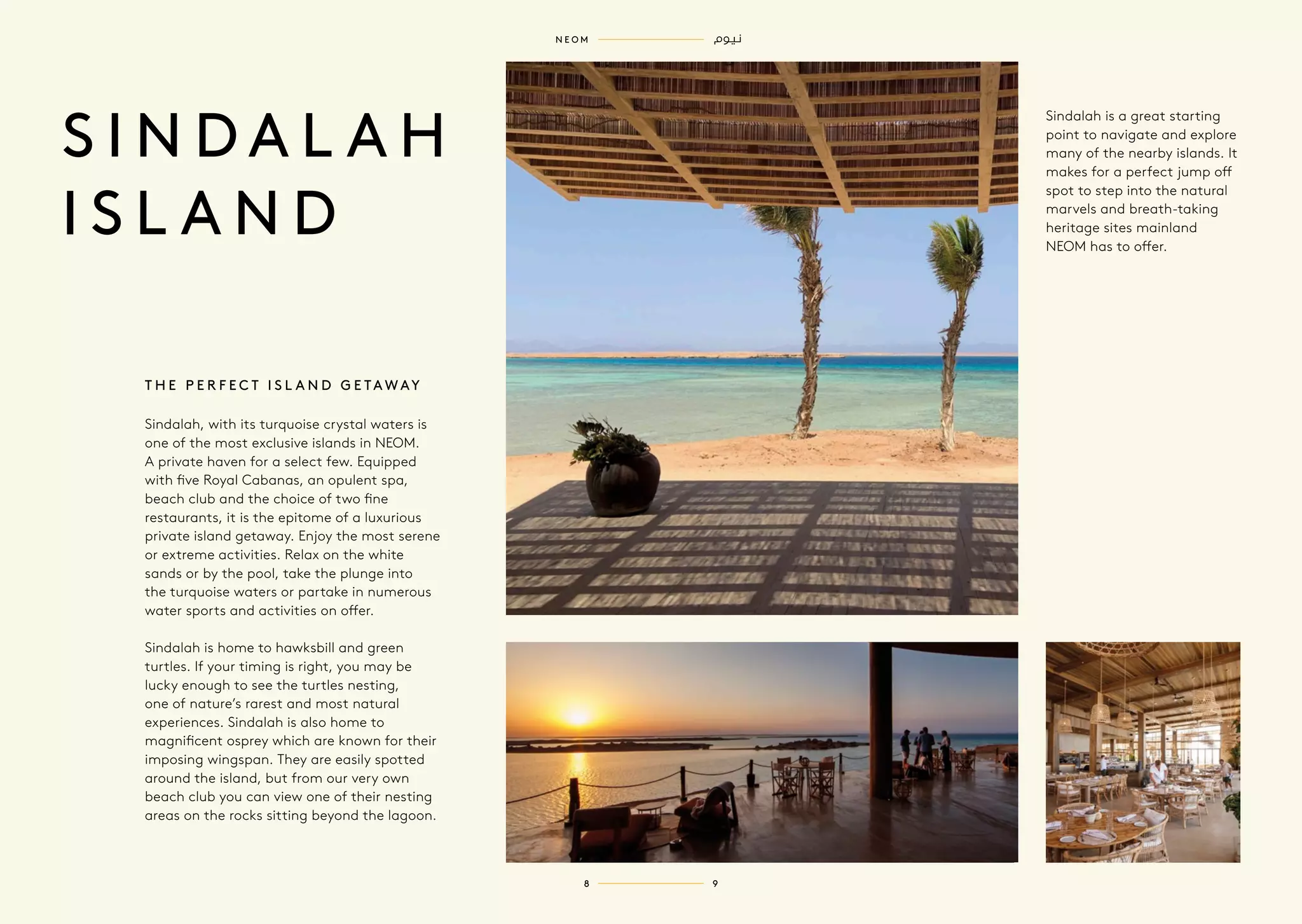 The Islands of NEOM.pdf
