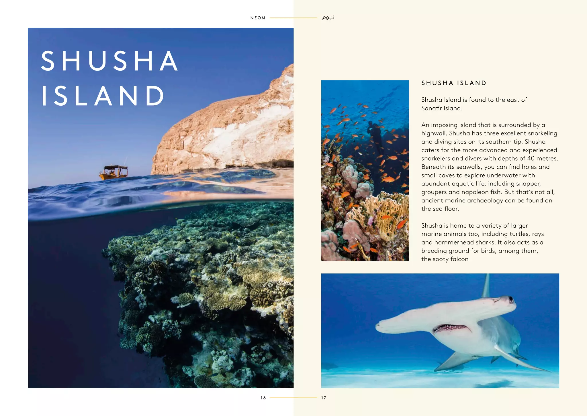 The Islands of NEOM.pdf