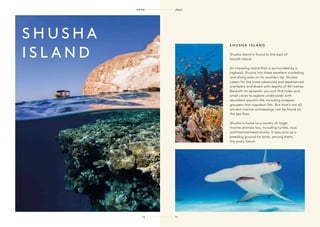 The Islands of NEOM.pdf