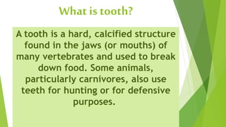 The is tooth | PPTX | Dental Health | Diseases and Conditions