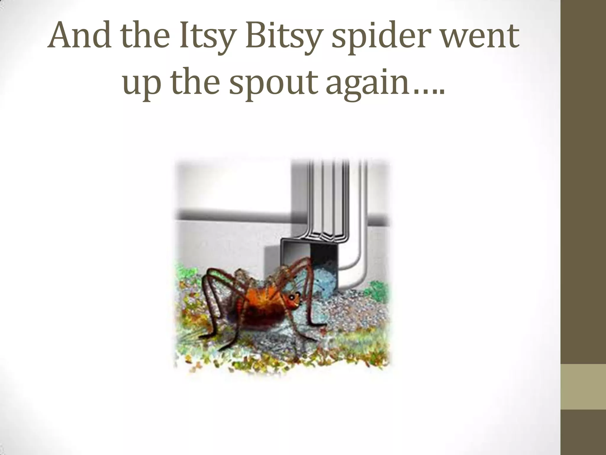 The itsy bitsy spider | PPTX