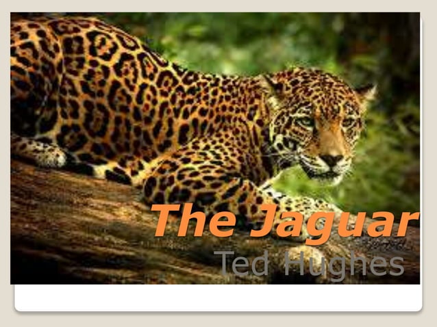 The Jaguar by Ted Hughes | PPTX