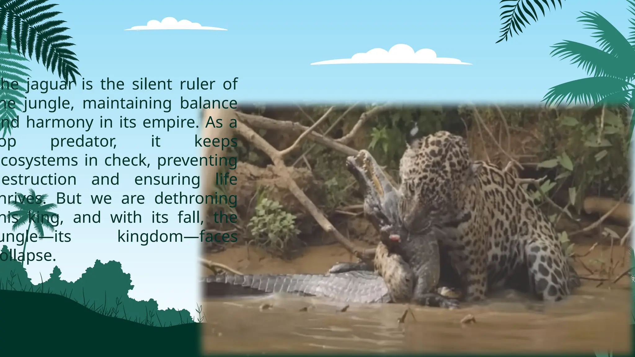 The Jaguar history completeeeeeeeee.pptx