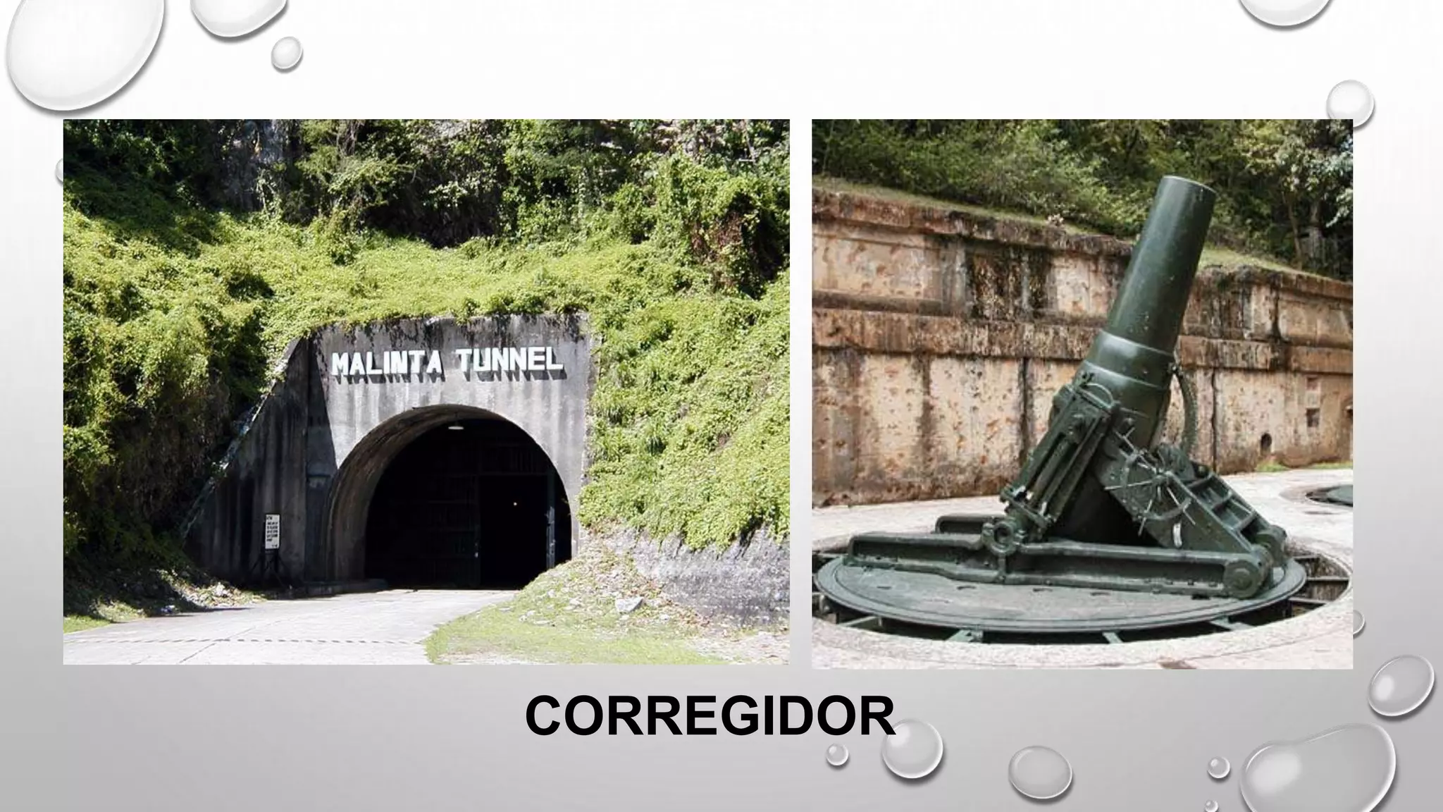 The Japanese Occupation in the Philippines | PPTX