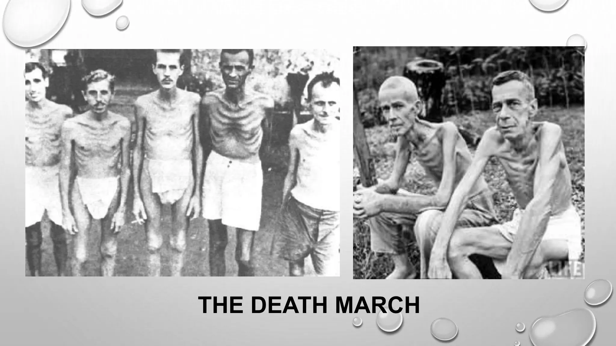 The Japanese Occupation in the Philippines | PPTX