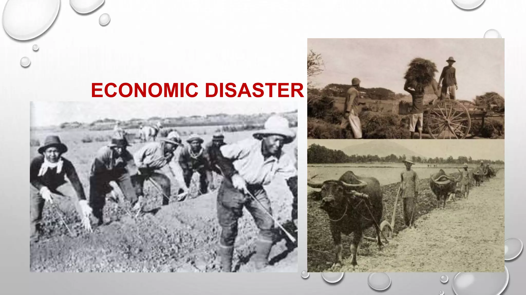 The Japanese Occupation in the Philippines | PPTX