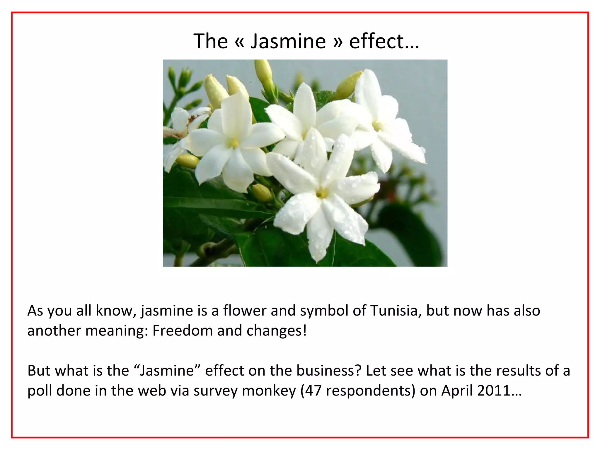 The Jasmine Effect | PPT