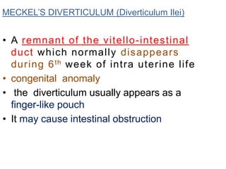 The jejunum, ileum & mesentery | PPTX